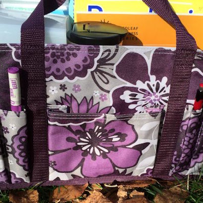My New Outside "Basket" - by Thirty-One - My Happy Crazy Life