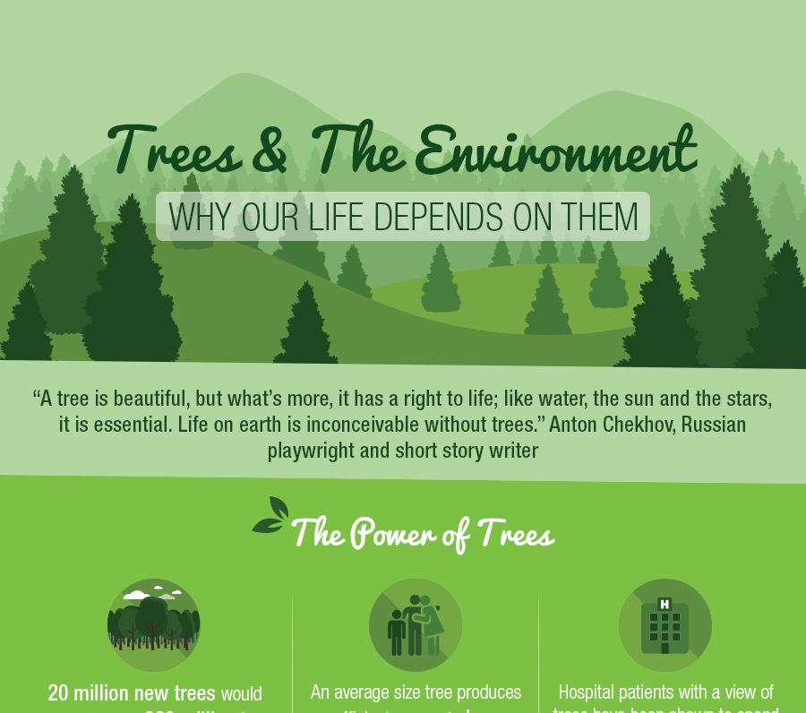 Go for the Green Archives - My Happy Crazy Life